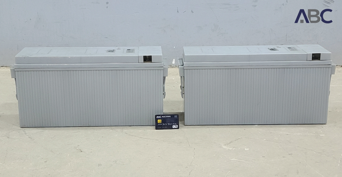 Pair of Amaron Quanta Batteries