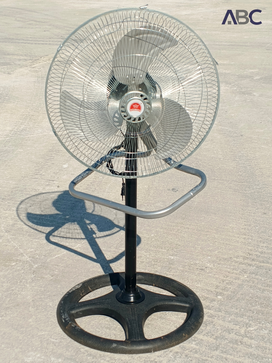 CHANGLI CROWN Electric Fan (240V) (1)